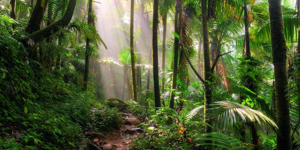 Cheat Sheet - Modernes ABAP